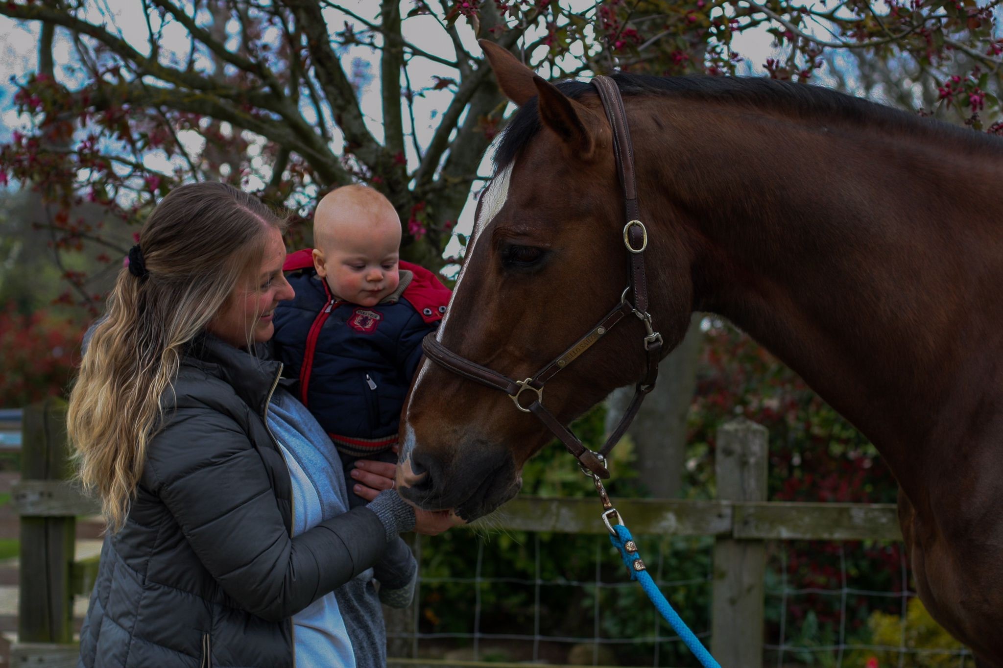 About – Stacey Greenshield Art